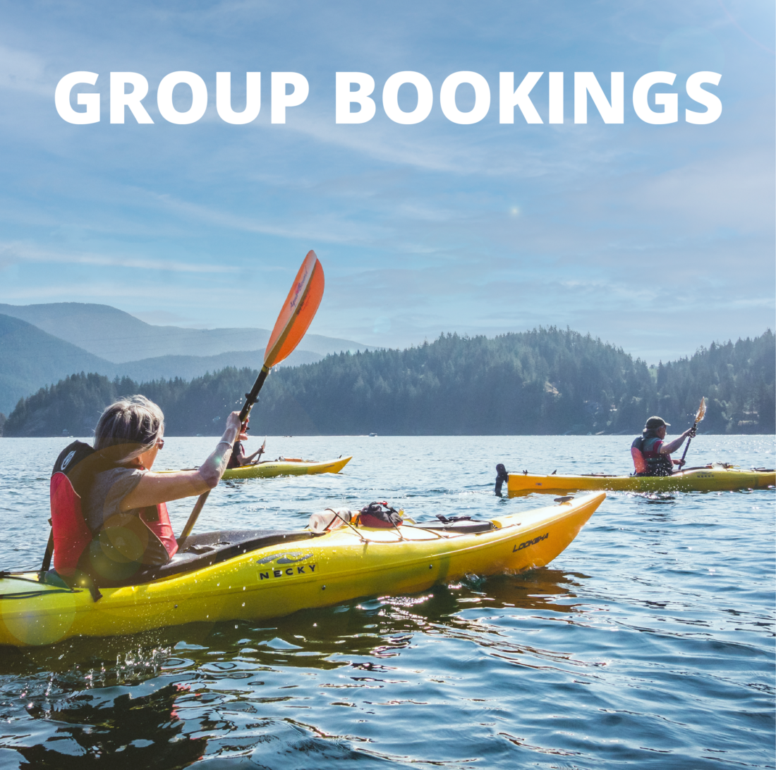 Deep Cove Explorer Kayak Tour - Deep Cove Kayak